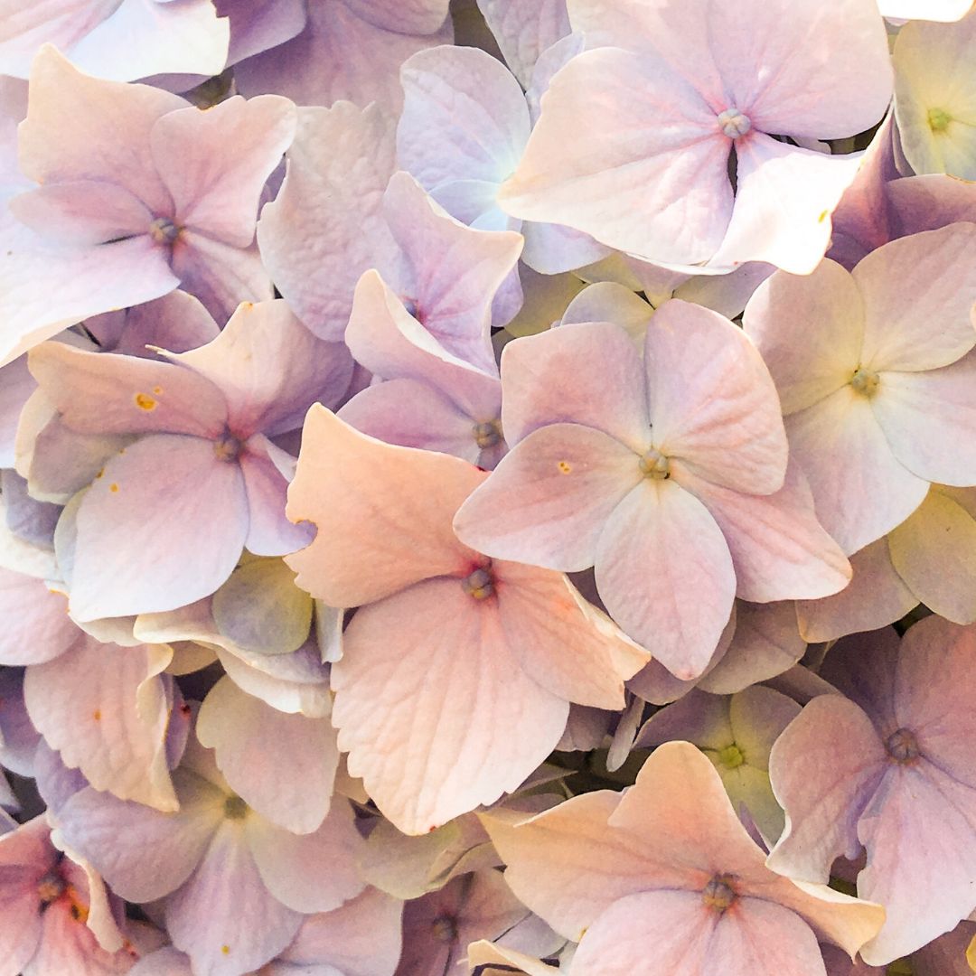 5 Steps To Loving Yourself Nurture Move
