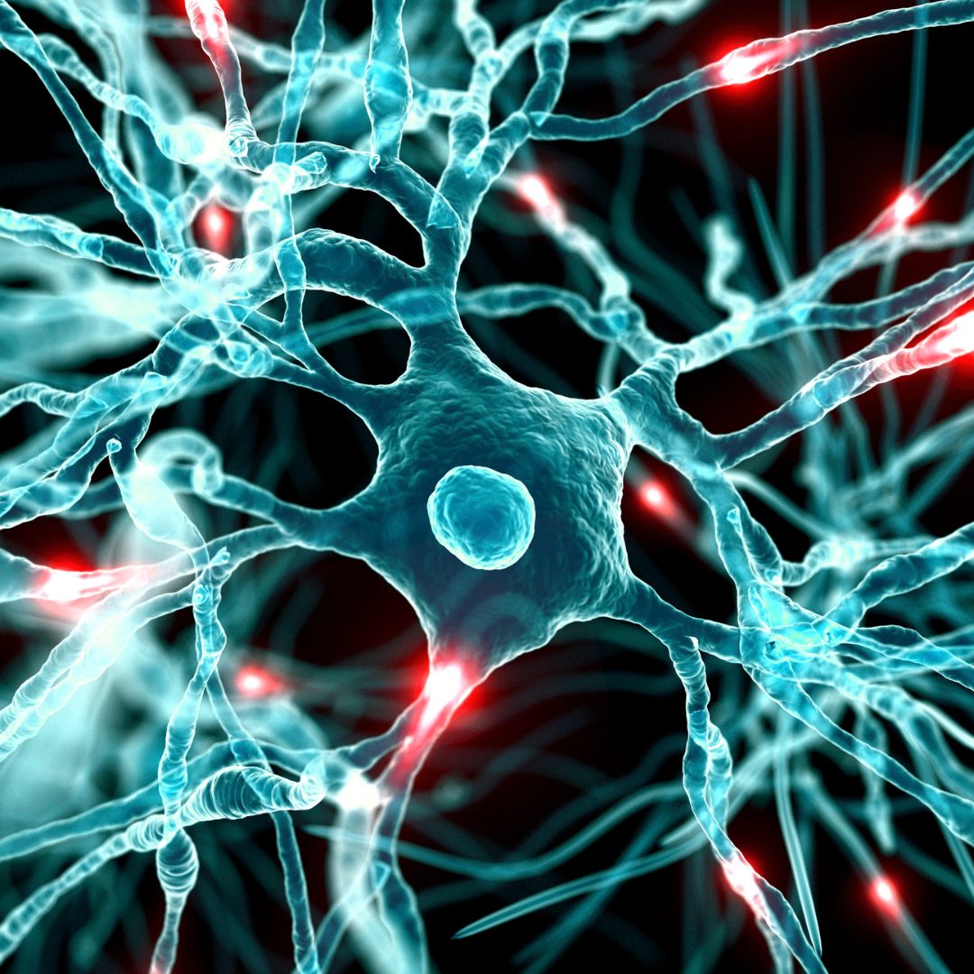 Blog - Nurture & Move